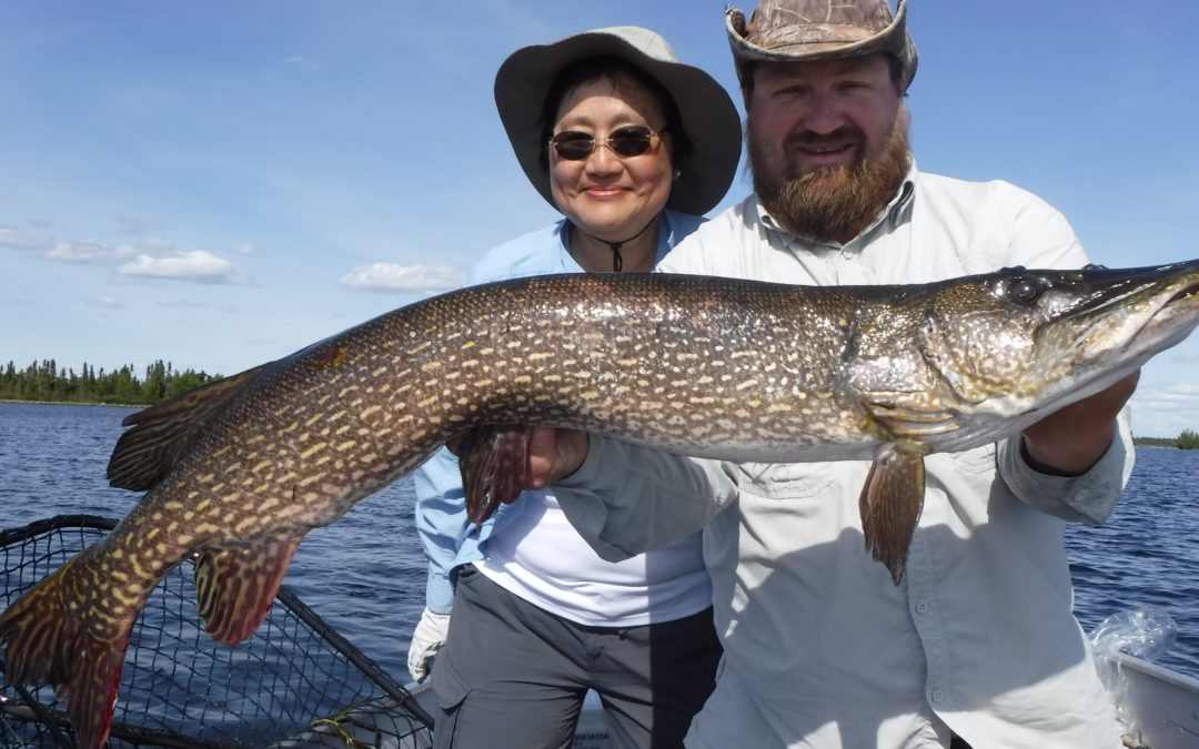 A Tale of Two Summers: Mid-Season Update - Scott Lake Lodge