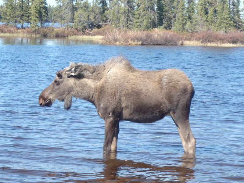 2019 Season | Scott Lake Lodge