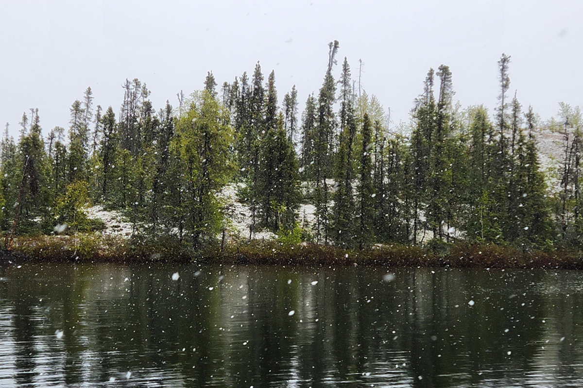 It's Time | Spring is Coming to the North